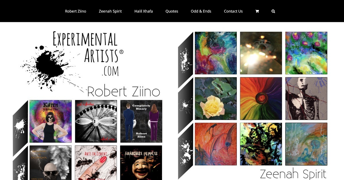 Experimental Artists Terms & Conditions - Experimental Artists